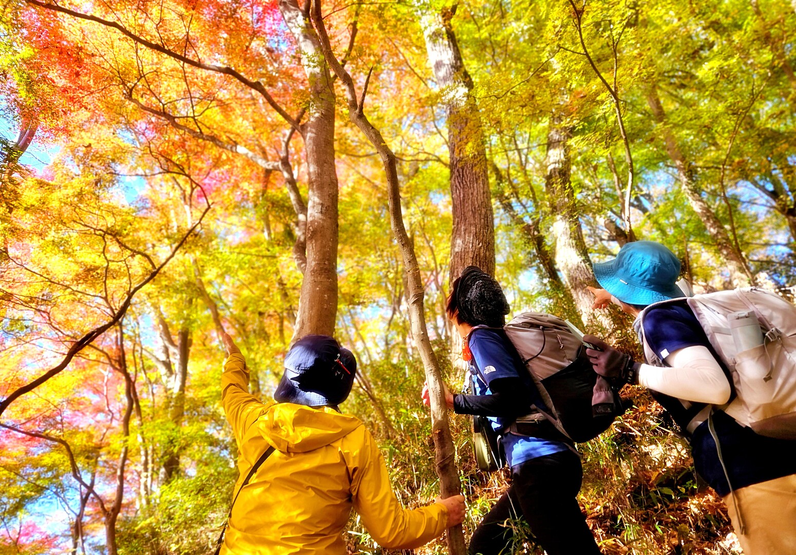 ようこそ、生瀬富士・月居山の「パラダイス・カフェ💃🍵」へ / kazuさんの生瀬富士・大子アルプスの活動データ | YAMAP / ヤマップ