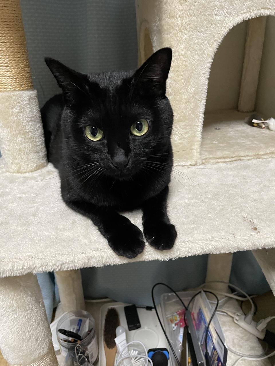 NH-240のページ | YAMAP / ヤマップ