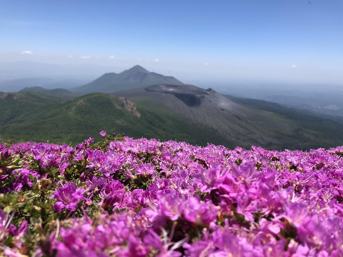 韓国岳（霧島山） / mckeeさんの霧島山・韓国岳・高千穂峰・夷守岳・烏帽子岳の活動データ | YAMAP / ヤマップ