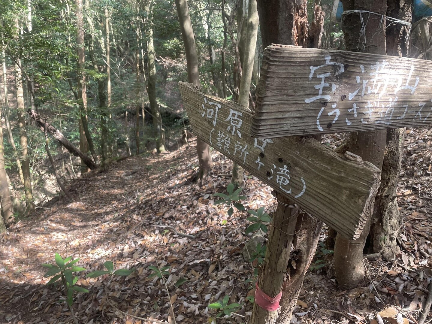 難所ヶ滝‥まで行けばよかった😱 / daikiboさんの宝満山・三郡山・若杉山の活動データ | YAMAP / ヤマップ