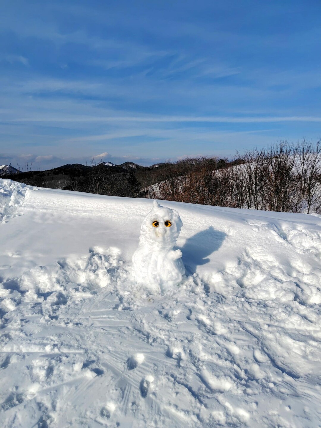 昨日の恩原高原スキー場 今シーズンは年末... / nexusさんのモーメント | YAMAP / ヤマップ
