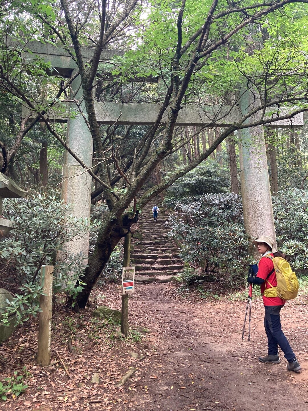 宝満山 行ってみよー‼️ / sho-koしょうこさんの宝満山・三郡山・若杉山の活動データ | YAMAP / ヤマップ