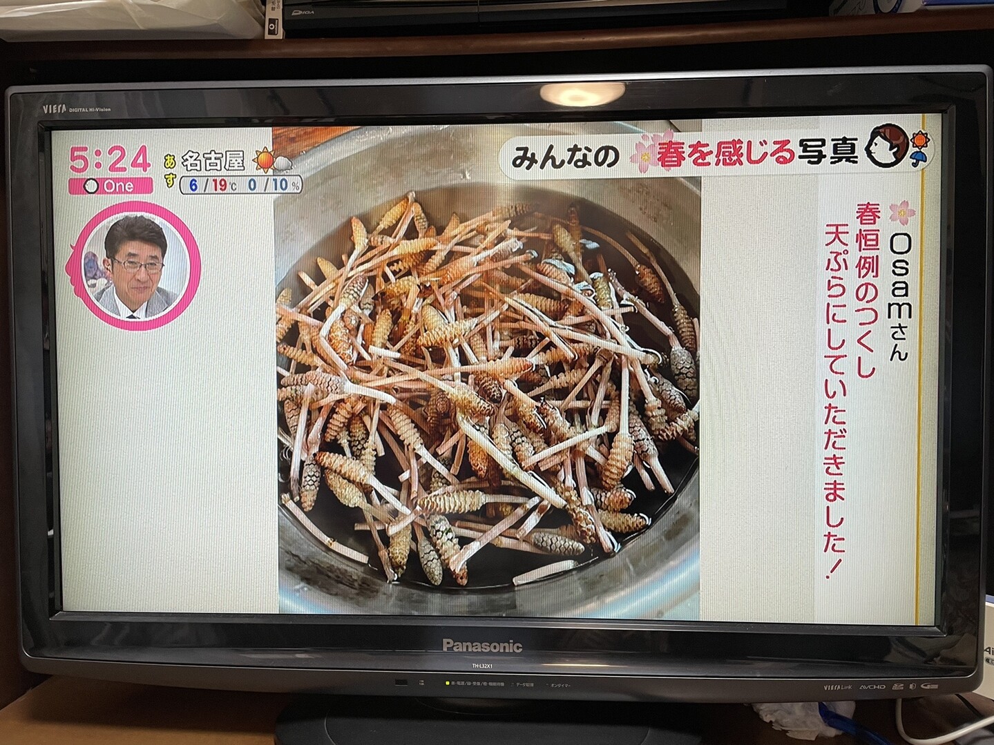 東海テレビのニュースOneに『つくし』の... / osamさんのモーメント | YAMAP / ヤマップ