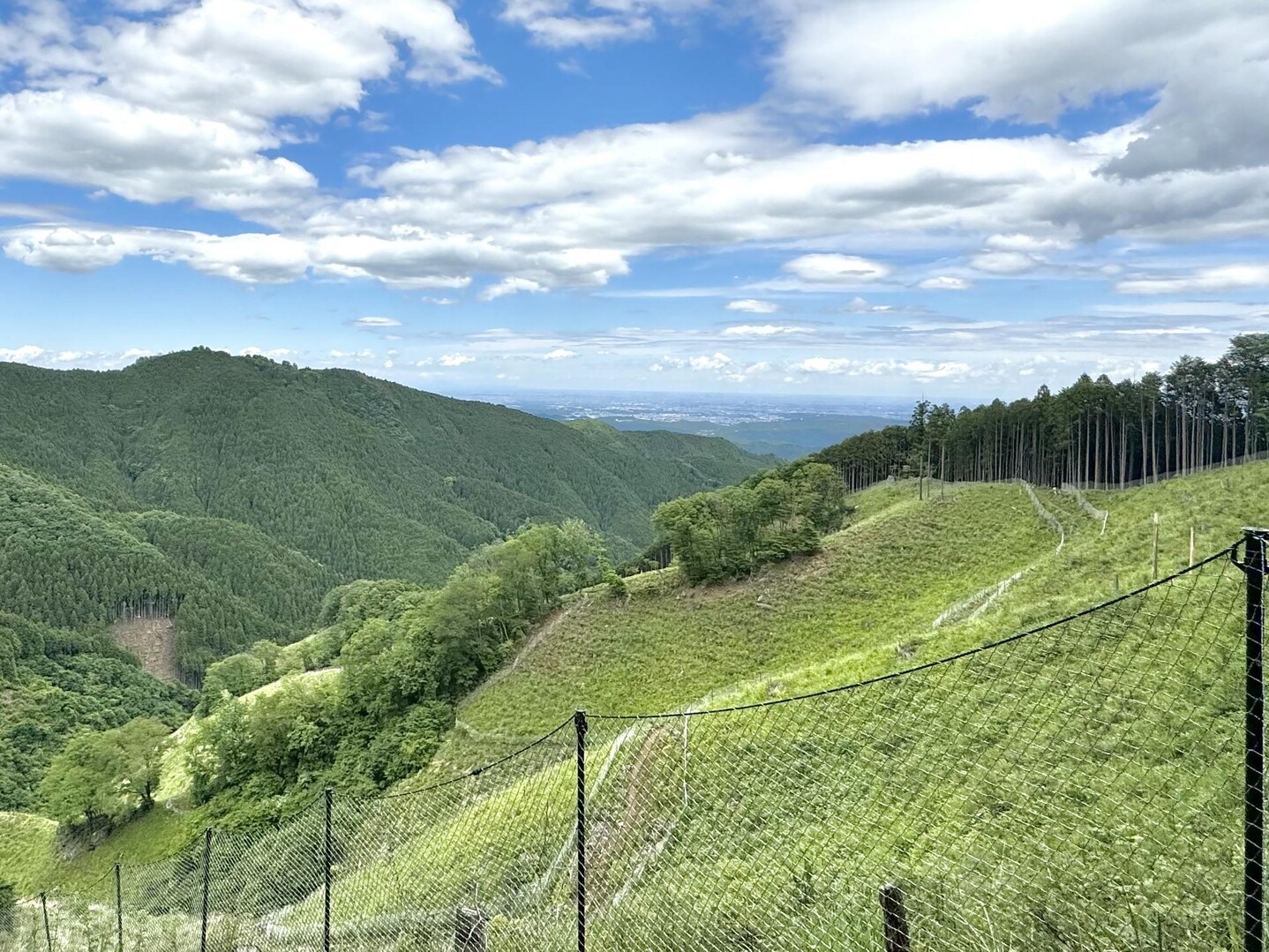 踏み残し2ピークハント 丸山〜惣岳山〜神塚山 / MAYUMIさんの高水山・岩茸石山・惣岳山の活動データ | YAMAP / ヤマップ