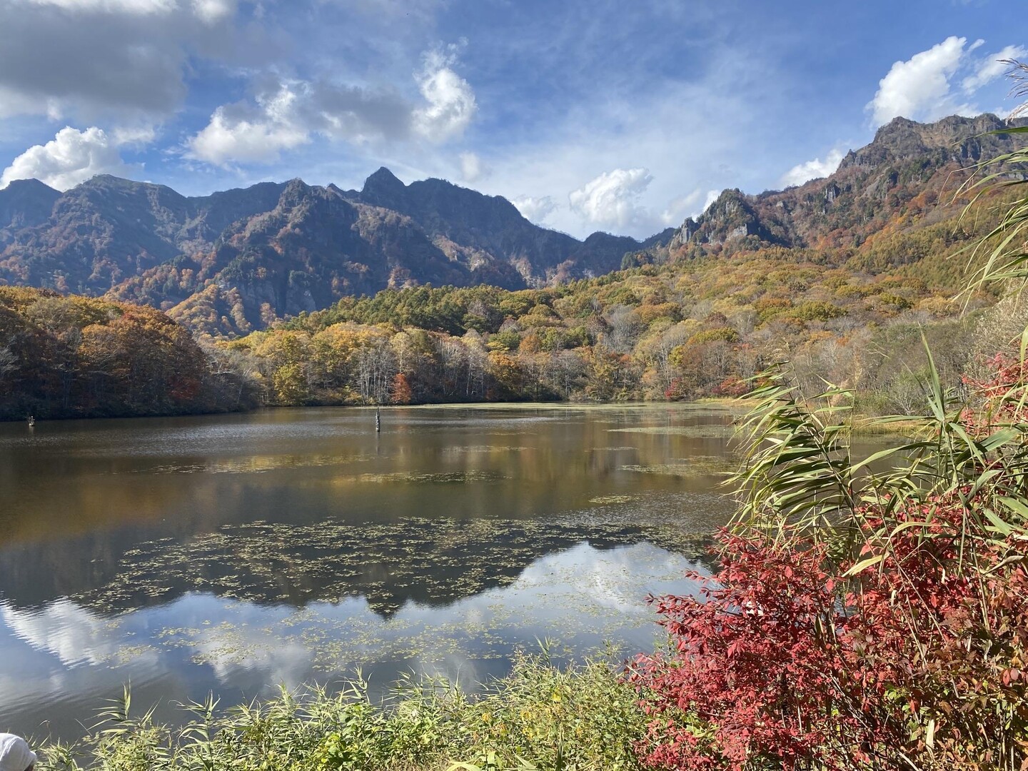 戸隠神社⛩️と鏡池で紅葉🍁を楽しみました😊高妻山・戸隠山-2023-10-24 / Joe-Rice さんの高妻山・戸隠山の活動データ | YAMAP / ヤマップ
