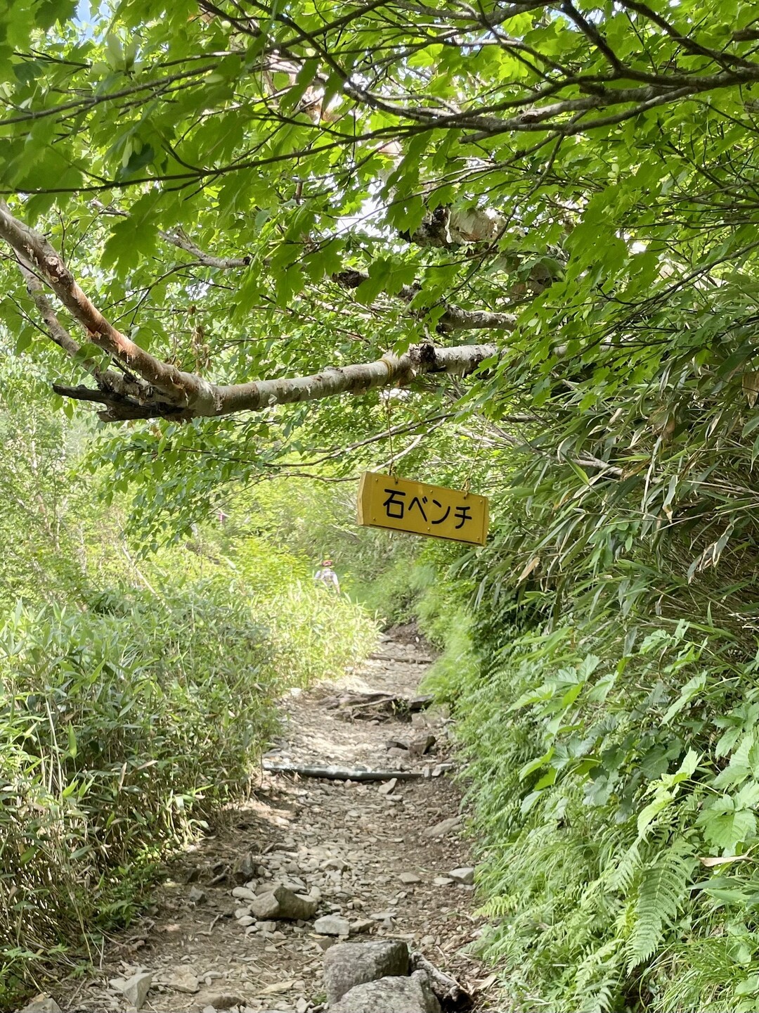 asimkさんの投稿したフィールドメモ | YAMAP / ヤマップ