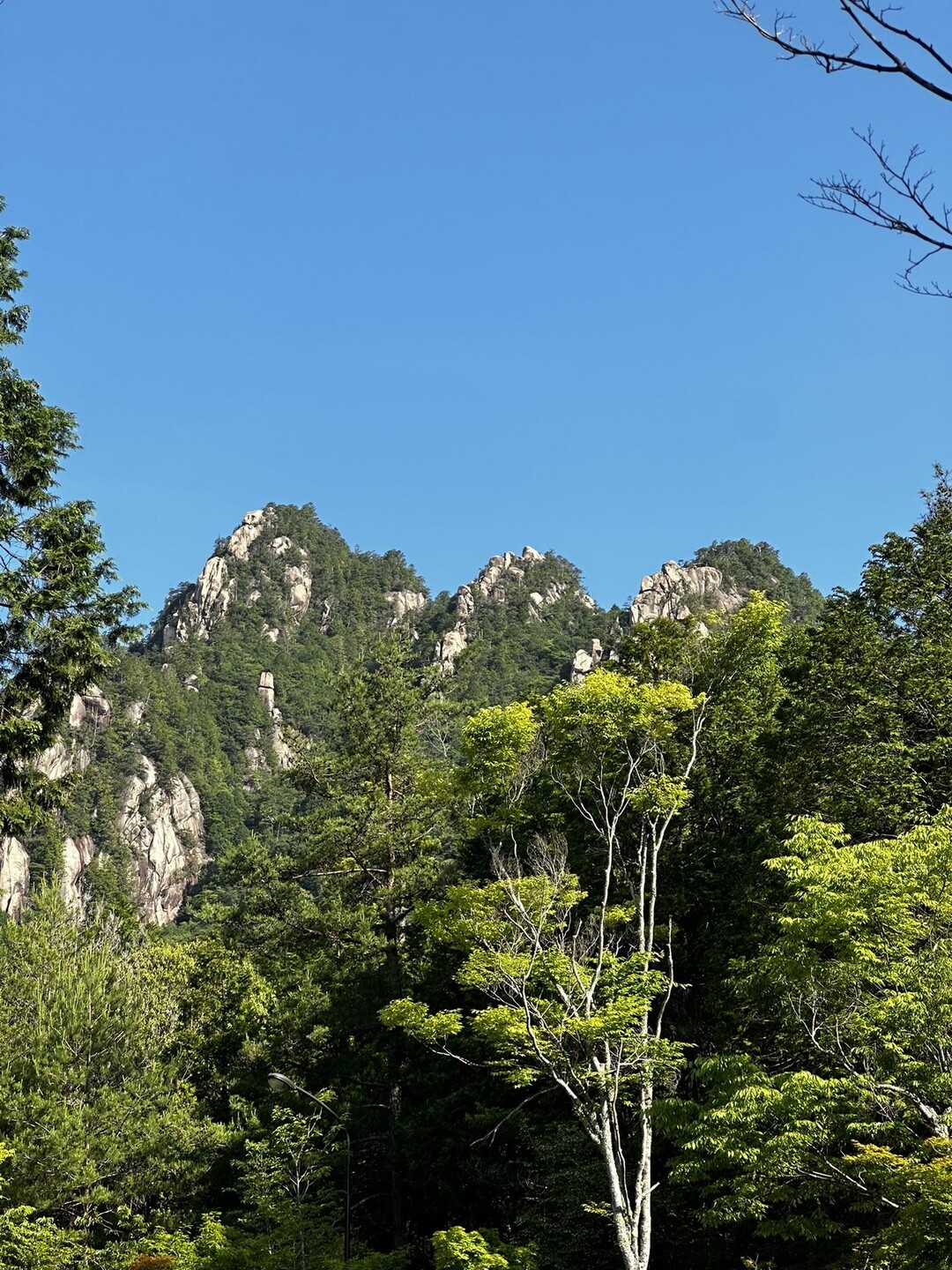 三倉岳-2023-06-04 岩トレ / TOP ROPE さんのウォーキングの活動データ | YAMAP / ヤマップ