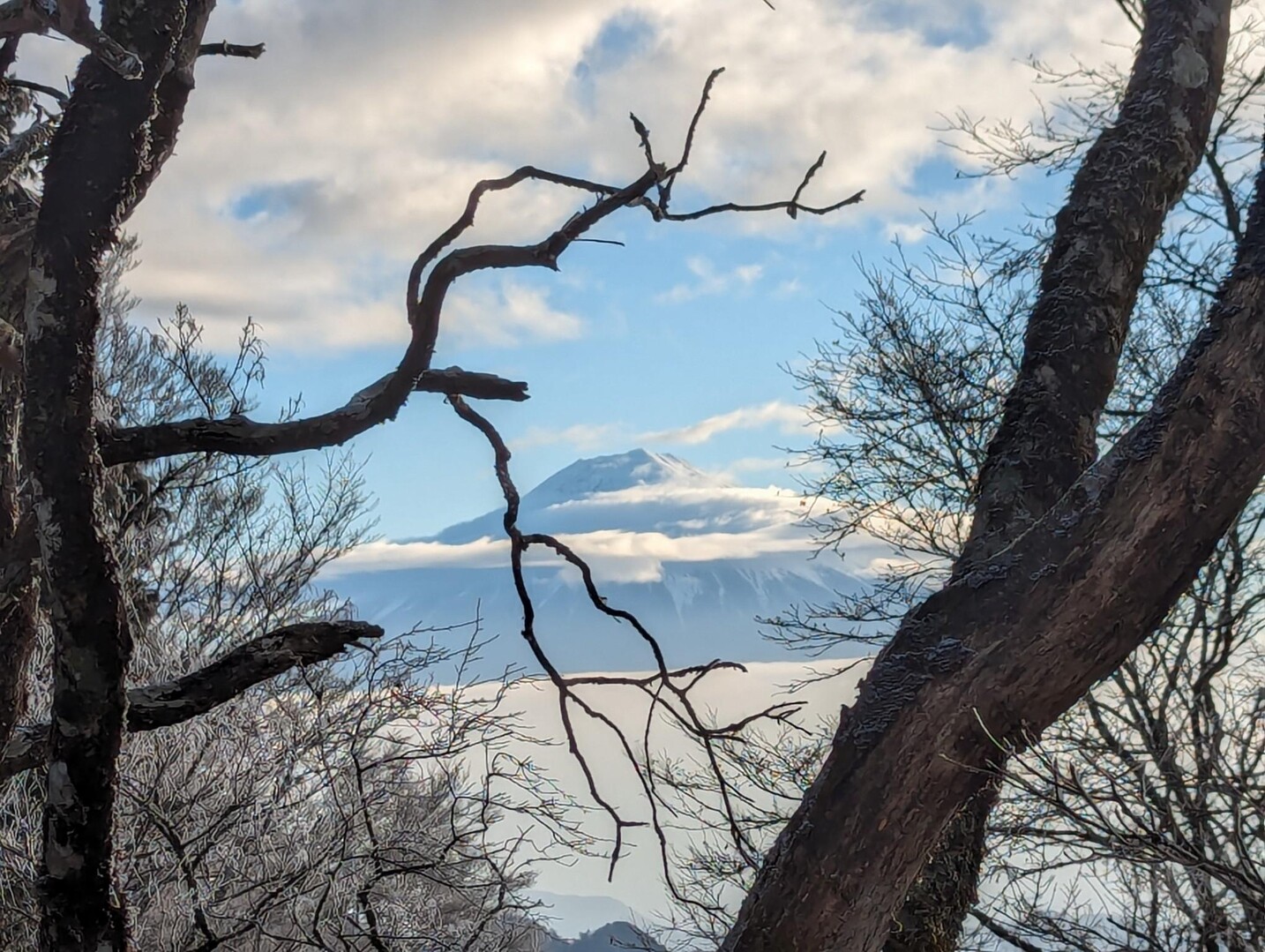 十枚山 / ko-riさんの十枚山の活動データ | YAMAP / ヤマップ