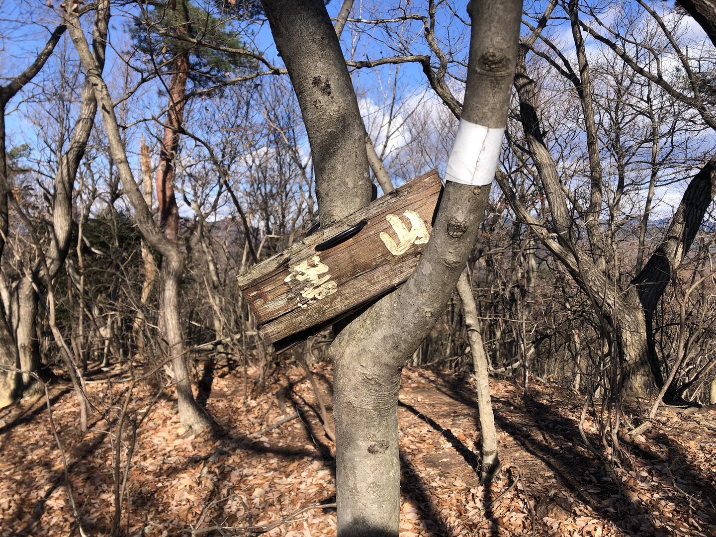 桐生地域百山めぐり（11座） / kiyoさんの両崖山・仙人ヶ岳・石尊山の活動データ | YAMAP / ヤマップ