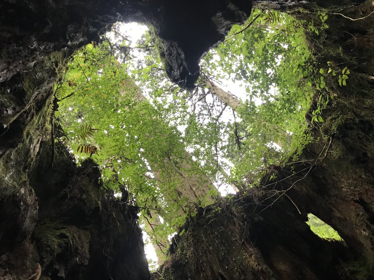 Kazuのページ | YAMAP / ヤマップ