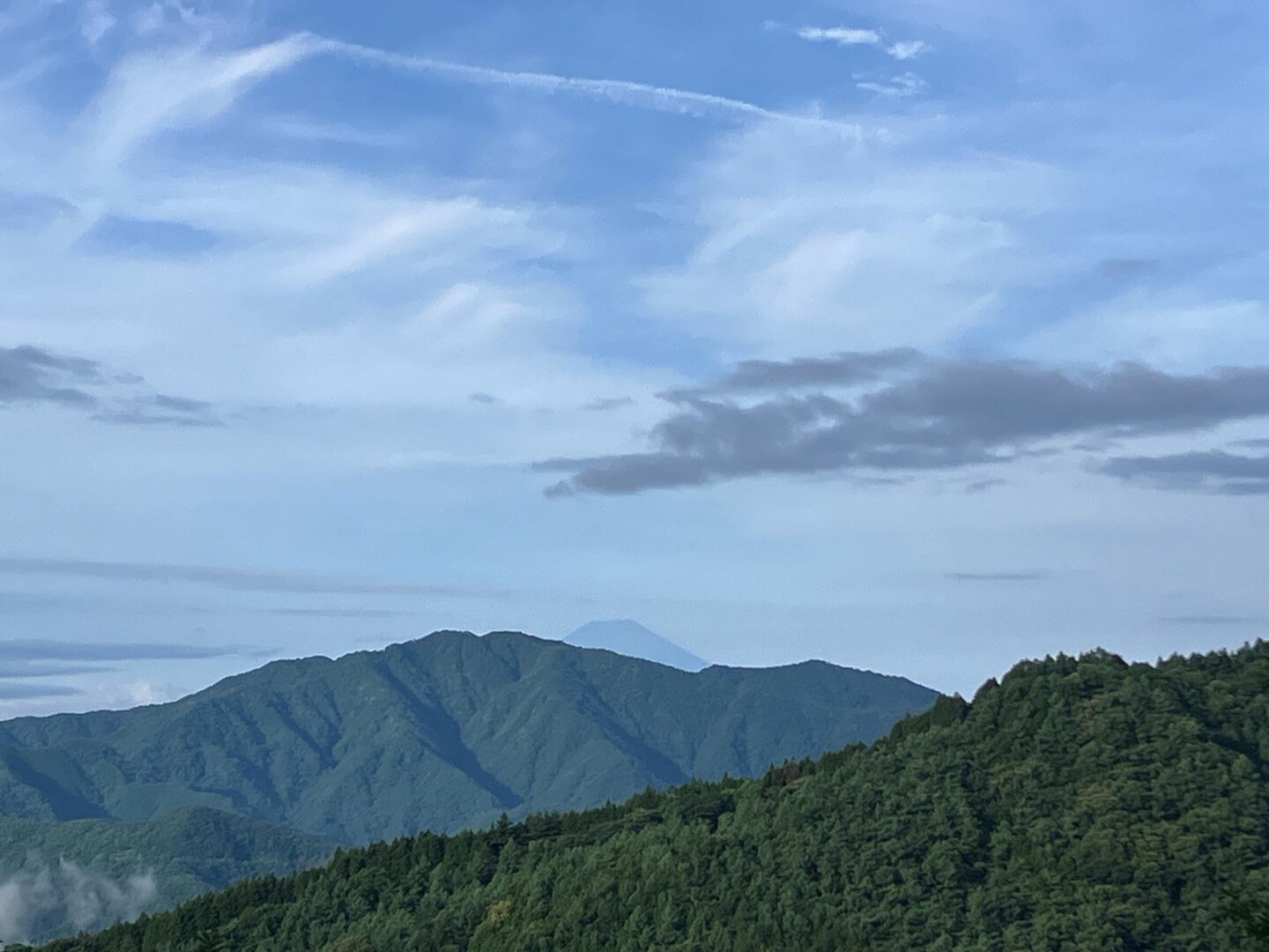 初めての石尾根で雲取山ピストン。あ〜長かった！ / kin29さんの雲取山・鷹ノ巣山・七ツ石山の活動データ | YAMAP / ヤマップ