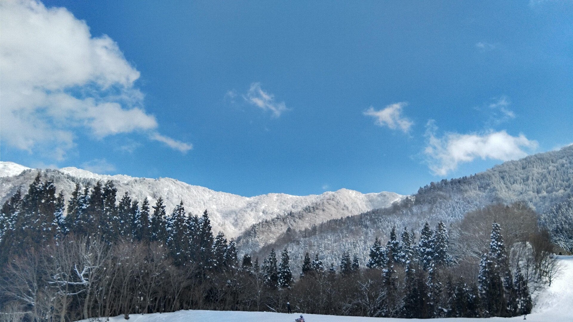 氷ノ山ハイキング 途中ホワイトアウト😵 / mimaさんの氷ノ山（須賀ノ山）・鉢伏山・瀞川山の活動データ | YAMAP / ヤマップ
