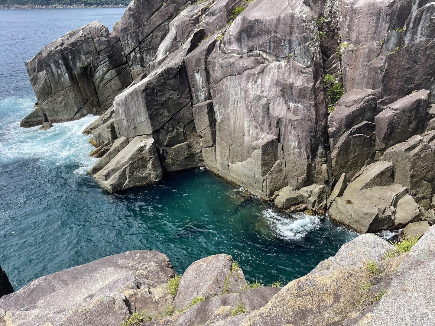 八鬼山・頂山・オハイ-2024-07-24 / MSKさんの八鬼山・頂山・オハイの活動データ | YAMAP / ヤマップ