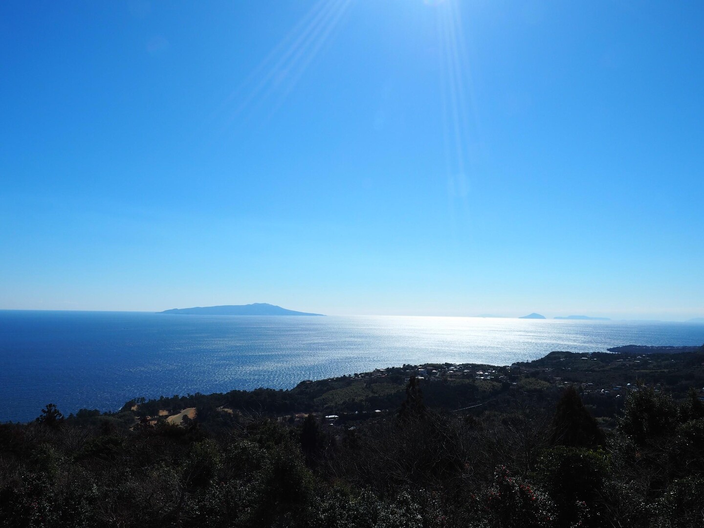 大室山 →小室山 / yossyさんの小室山の活動データ | YAMAP / ヤマップ