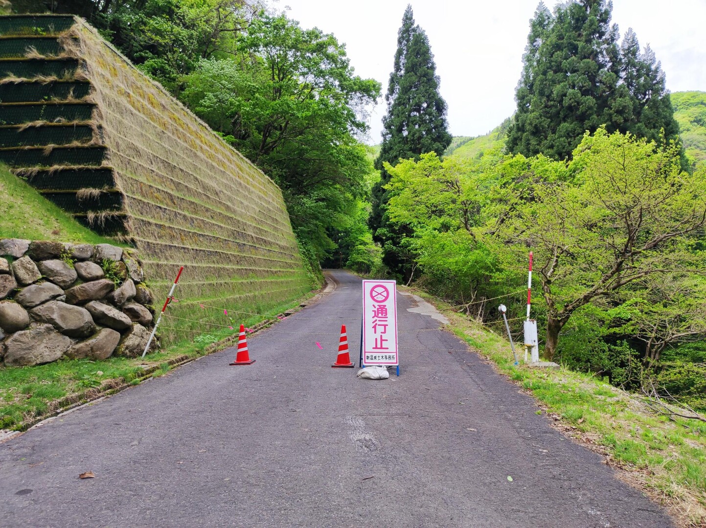 畑ヶ平林道通行止め 諸鹿まで車で入ろうと... / umonさんのモーメント | YAMAP / ヤマップ