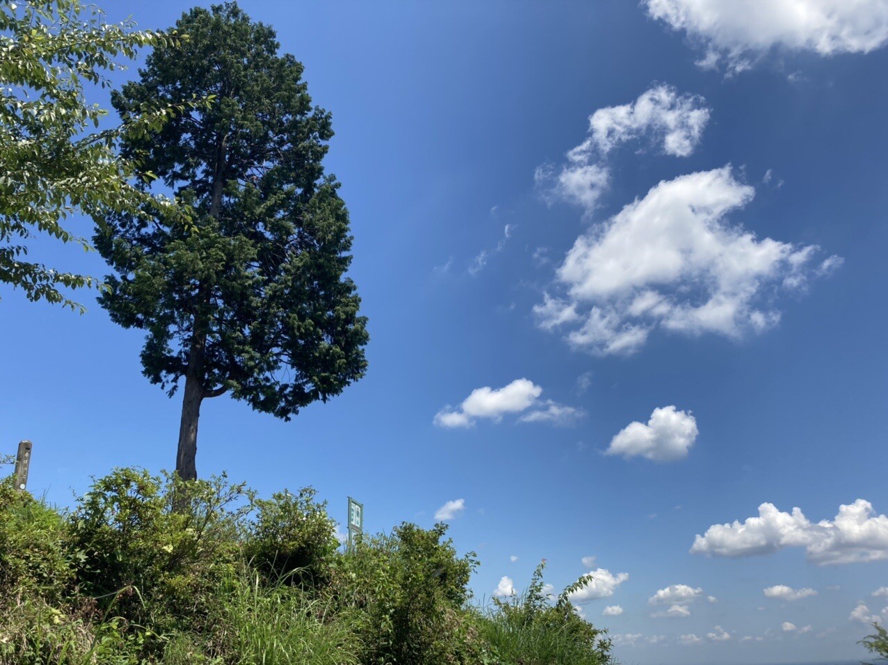 プレ夏休み最後の2トレ / kpk_cooさんのランニングの活動データ | YAMAP / ヤマップ