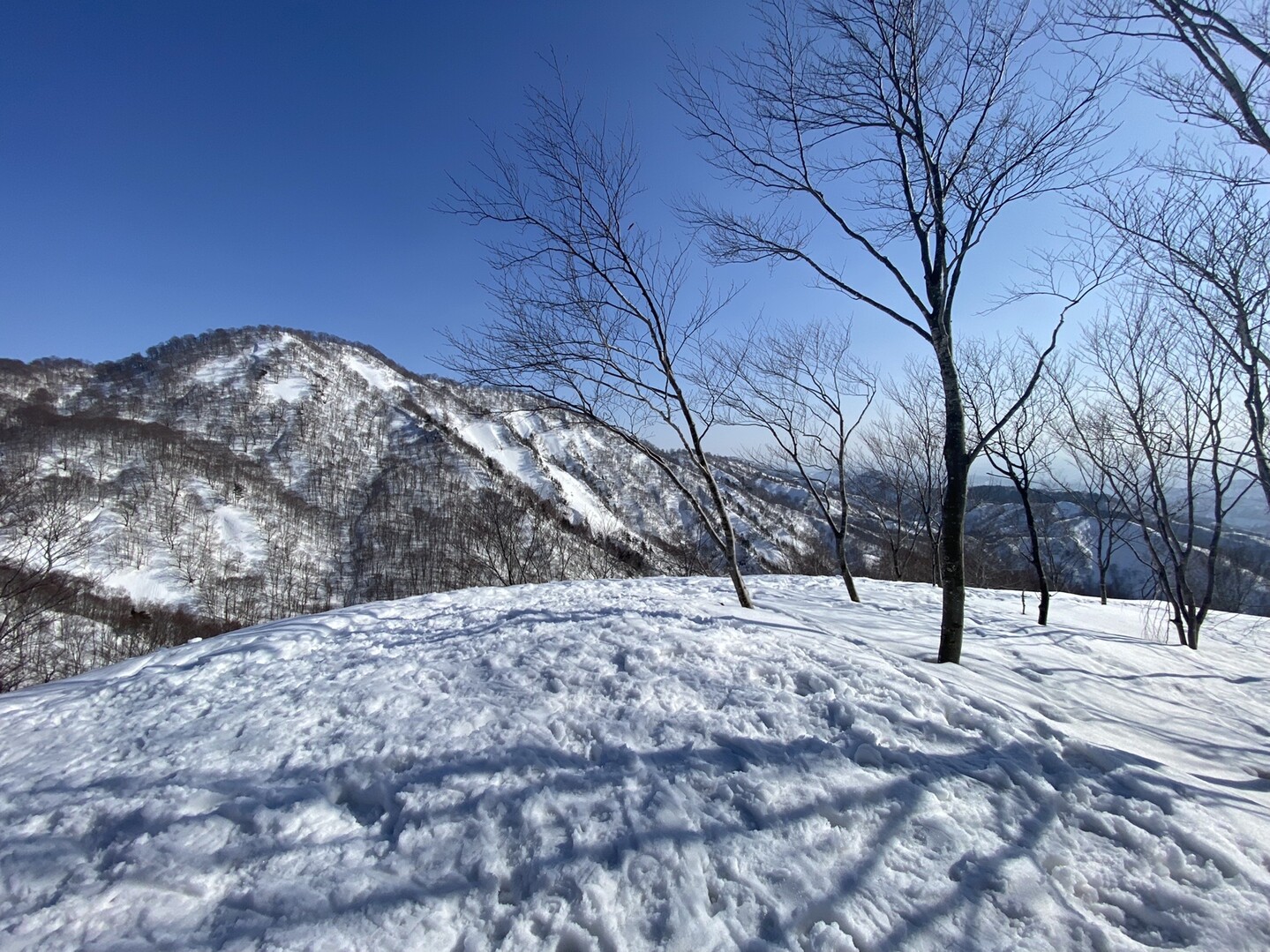 Moonkeyさんの投稿したフィールドメモ | YAMAP / ヤマップ