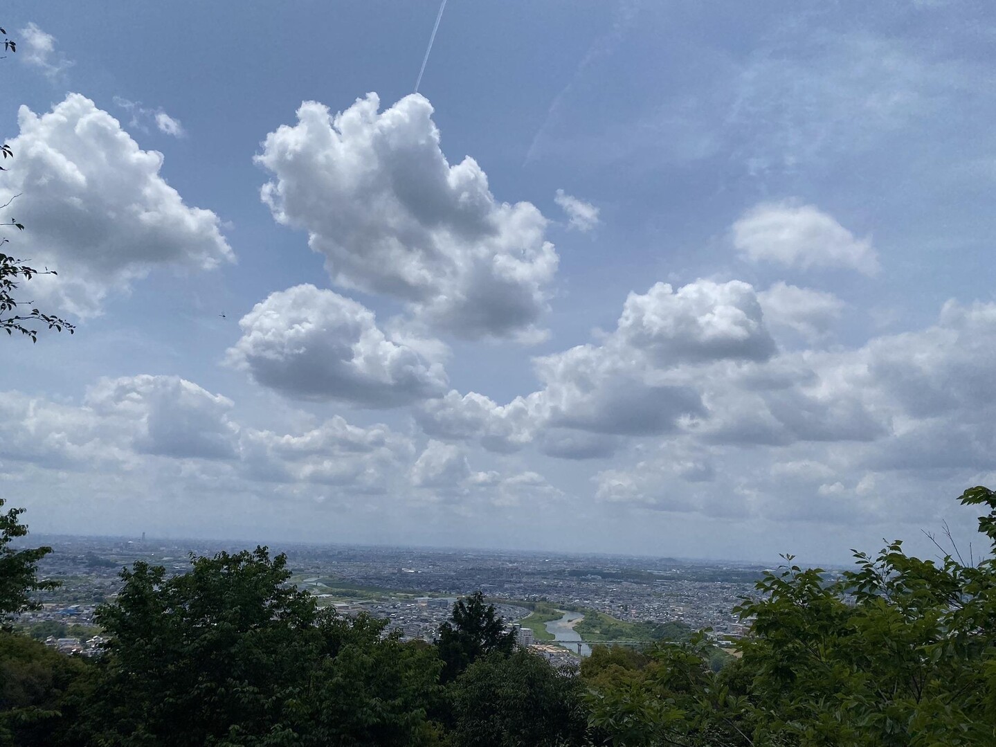 東谷山 / NANAさんの東谷山の活動データ | YAMAP / ヤマップ