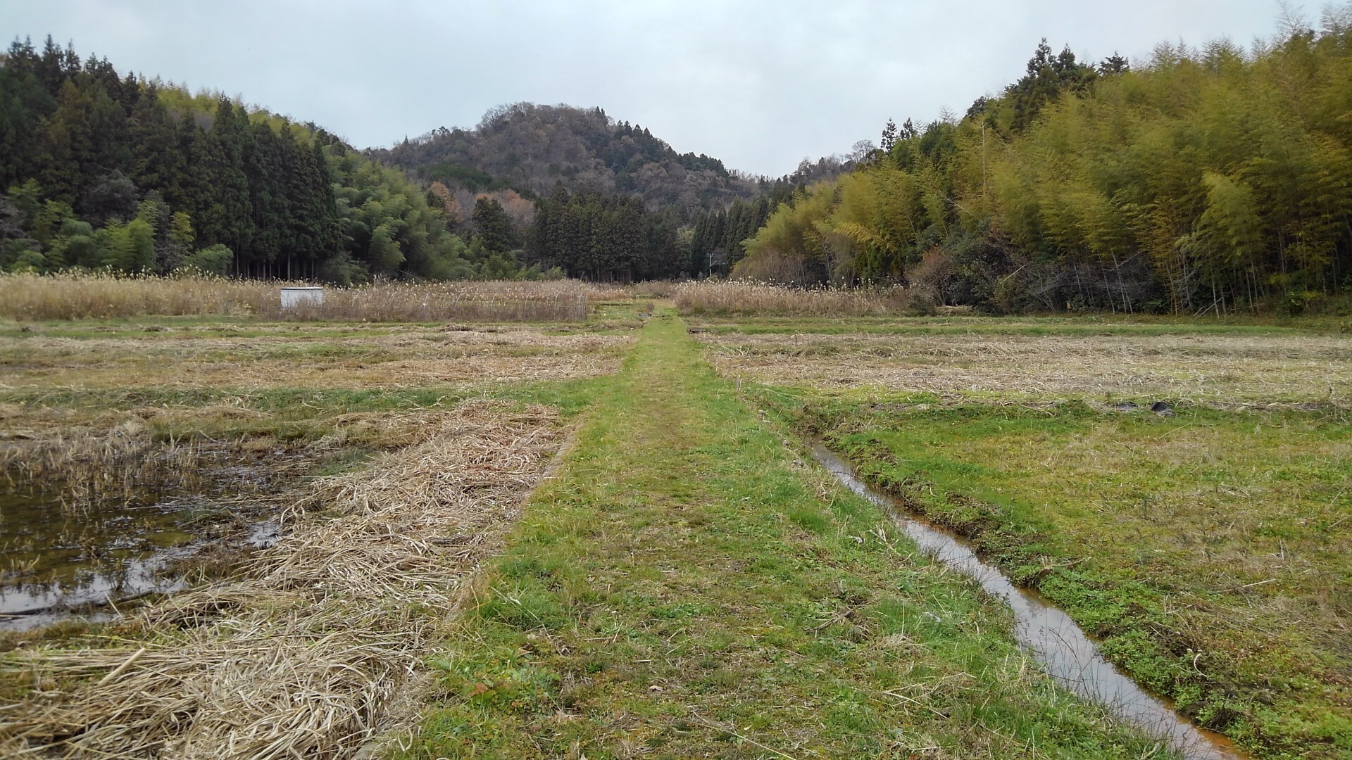 滋賀県彦根 佐和山城跡その2 佐和山城の城下町を訪ねてみました。 のりふりかけさんの中山道（高宮宿・武佐宿）の活動データ Yamap