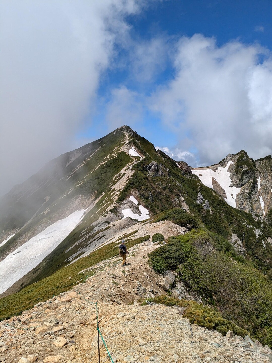 唐松岳登山-2024-6-29 / はちPanさんの鹿島槍ヶ岳・五竜岳（五龍岳）・唐松岳の活動データ | YAMAP / ヤマップ