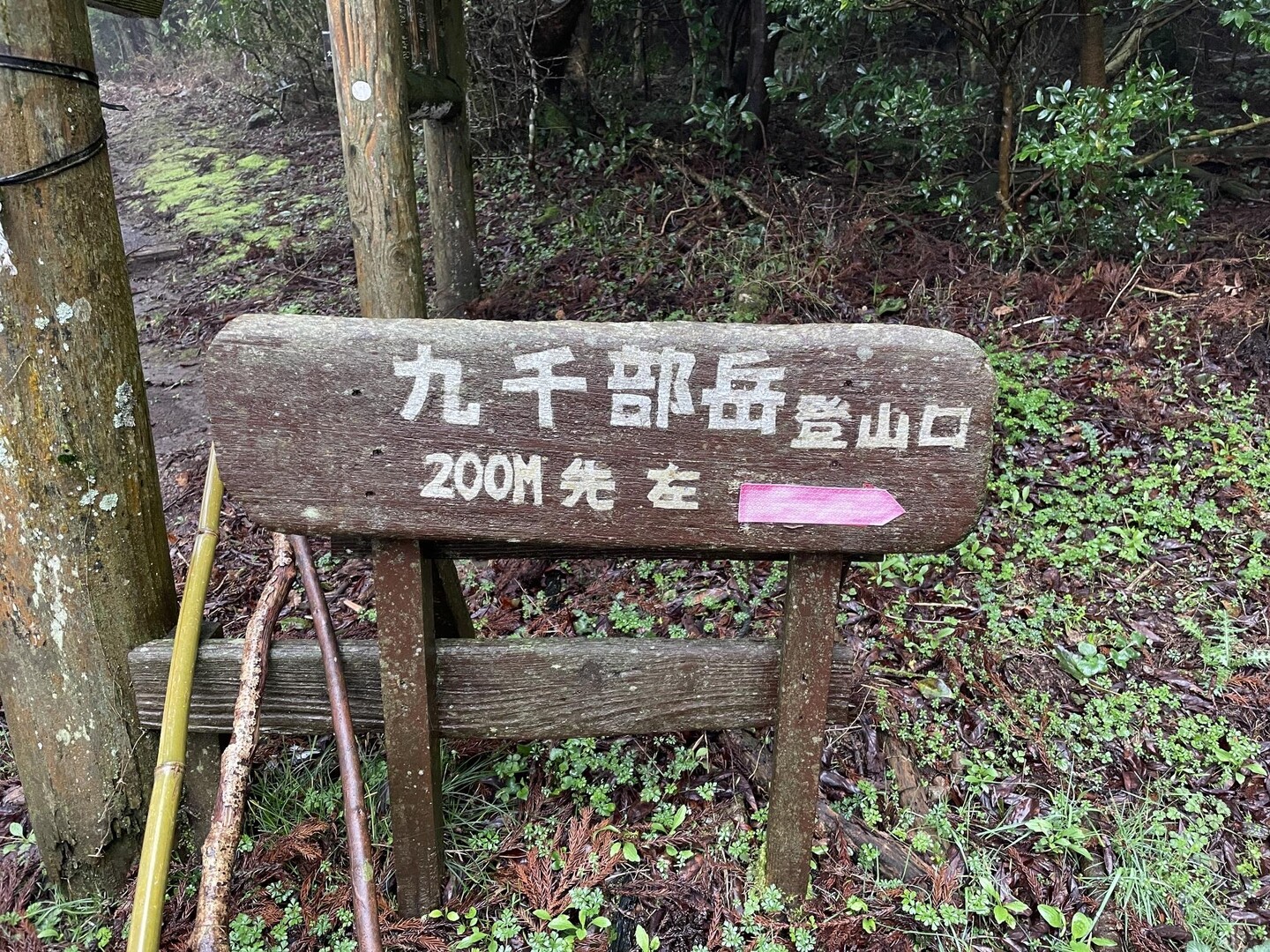 春合宿1日目 九千部岳 / Solidaさんの雲仙岳・普賢岳・絹笠山の活動データ | YAMAP / ヤマップ