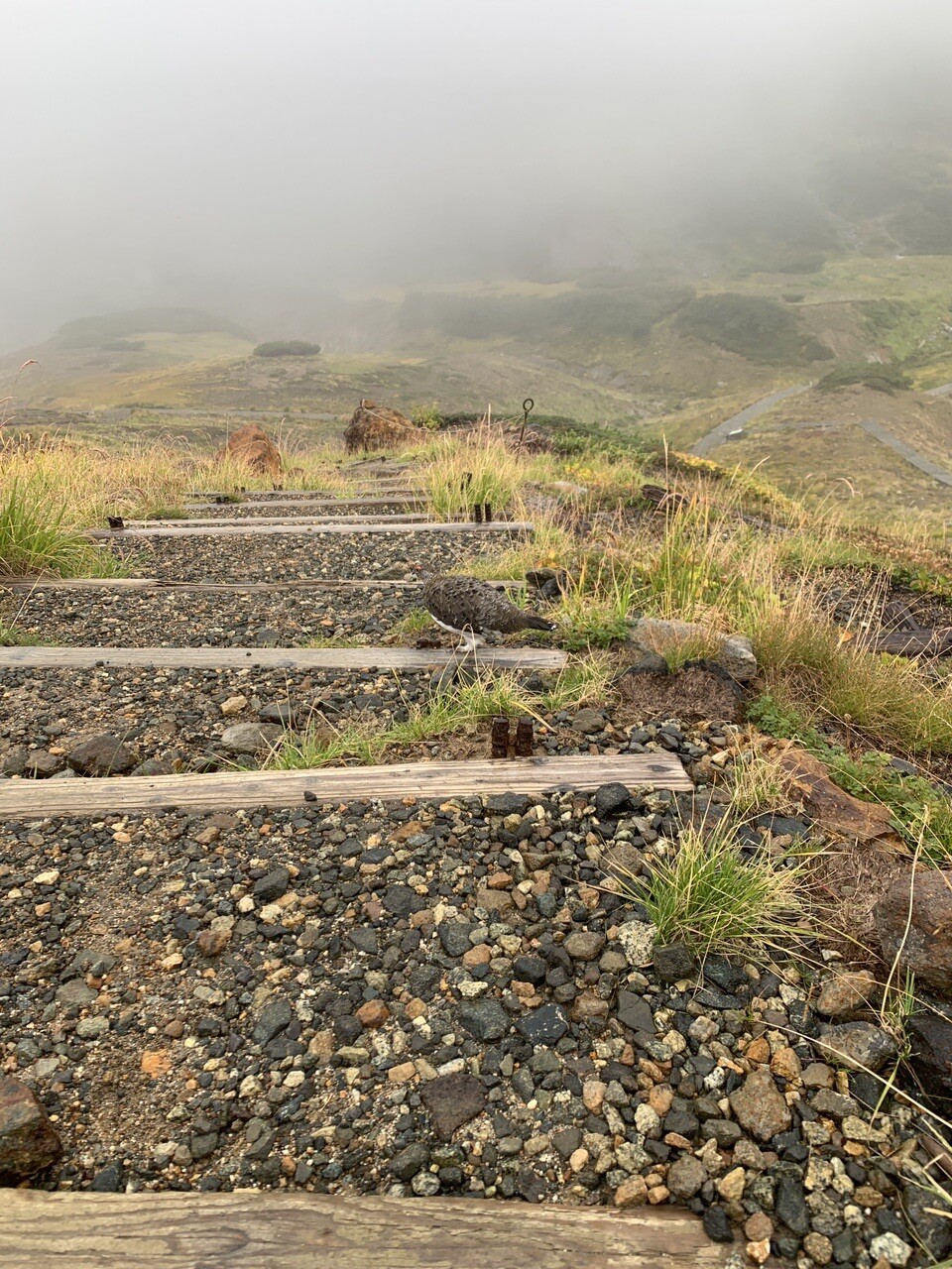 立山登山 / Hiraku Endoさんのモーメント | YAMAP / ヤマップ