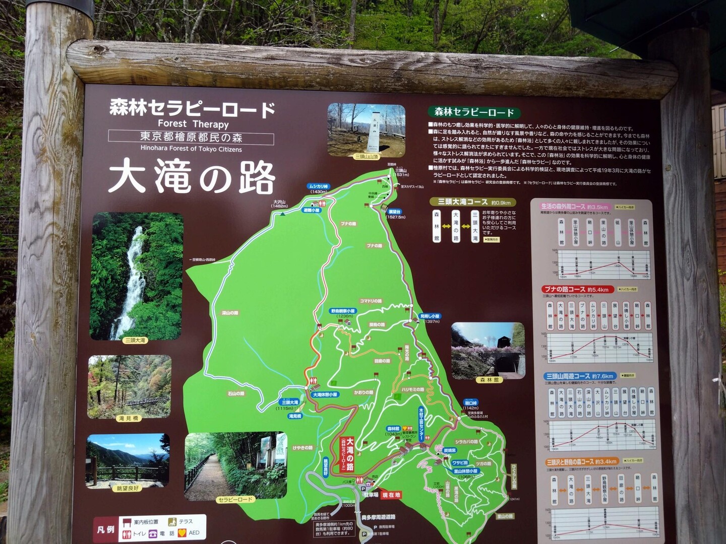 小焼山(笹畑ノ峰)・神楽入ノ峰・三頭山（西峰）・三頭山（中央峰）・三頭山（東峰） / YUMAさんの三頭山・槇寄山・土俵岳の活動データ | YAMAP / ヤマップ