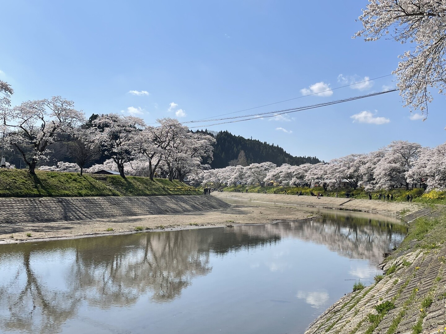2022.04.24(日) 03:34 / ケロケロ🐸🐸🐸さんのモーメント | YAMAP / ヤマップ
