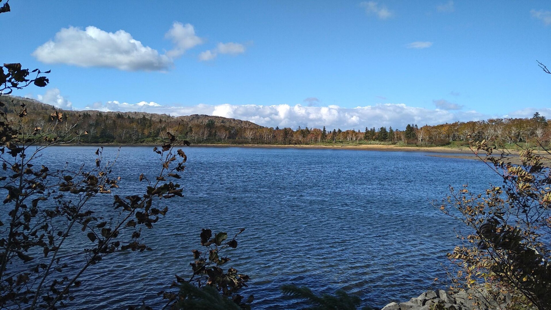 空沼岳 / cocoさんの札幌岳・空沼岳の活動データ | YAMAP / ヤマップ