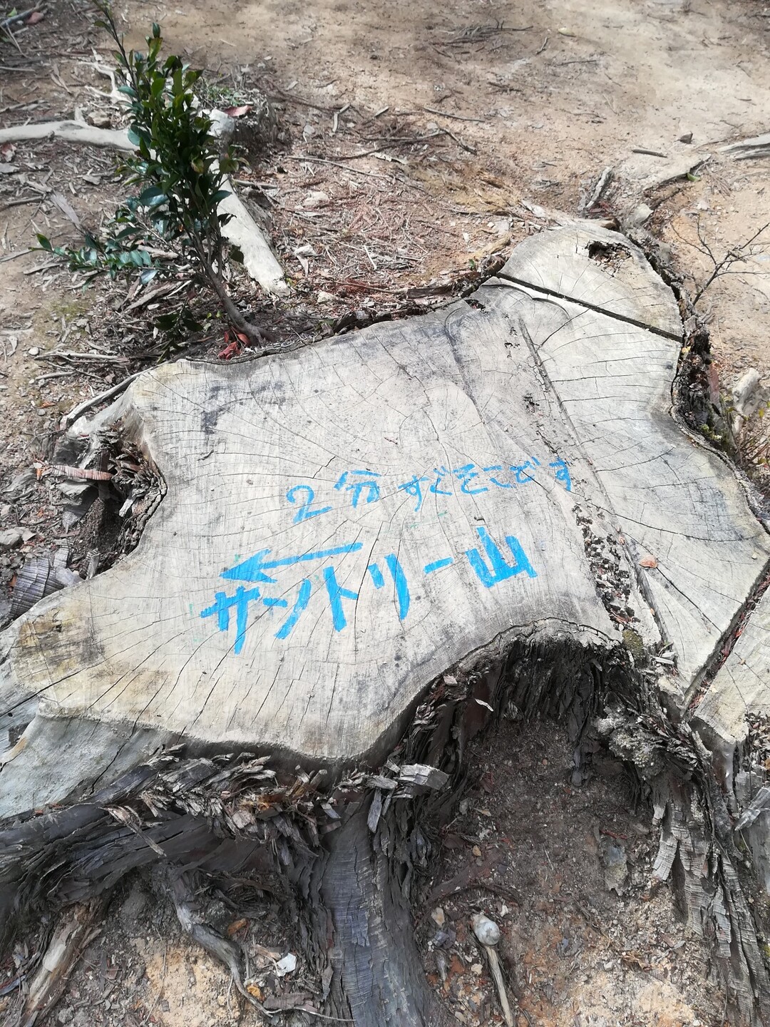 takaさんの投稿したフィールドメモ | YAMAP / ヤマップ