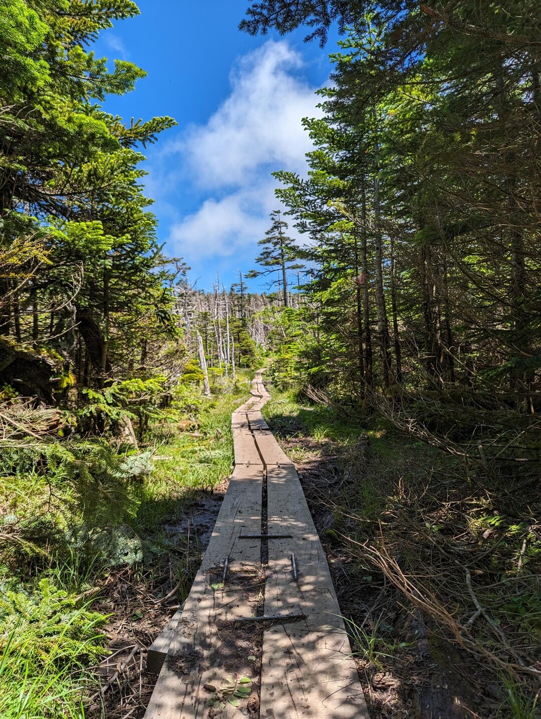 蓼科山 / nyaoさんの蓼科山・横岳・縞枯山の活動データ | YAMAP / ヤマップ
