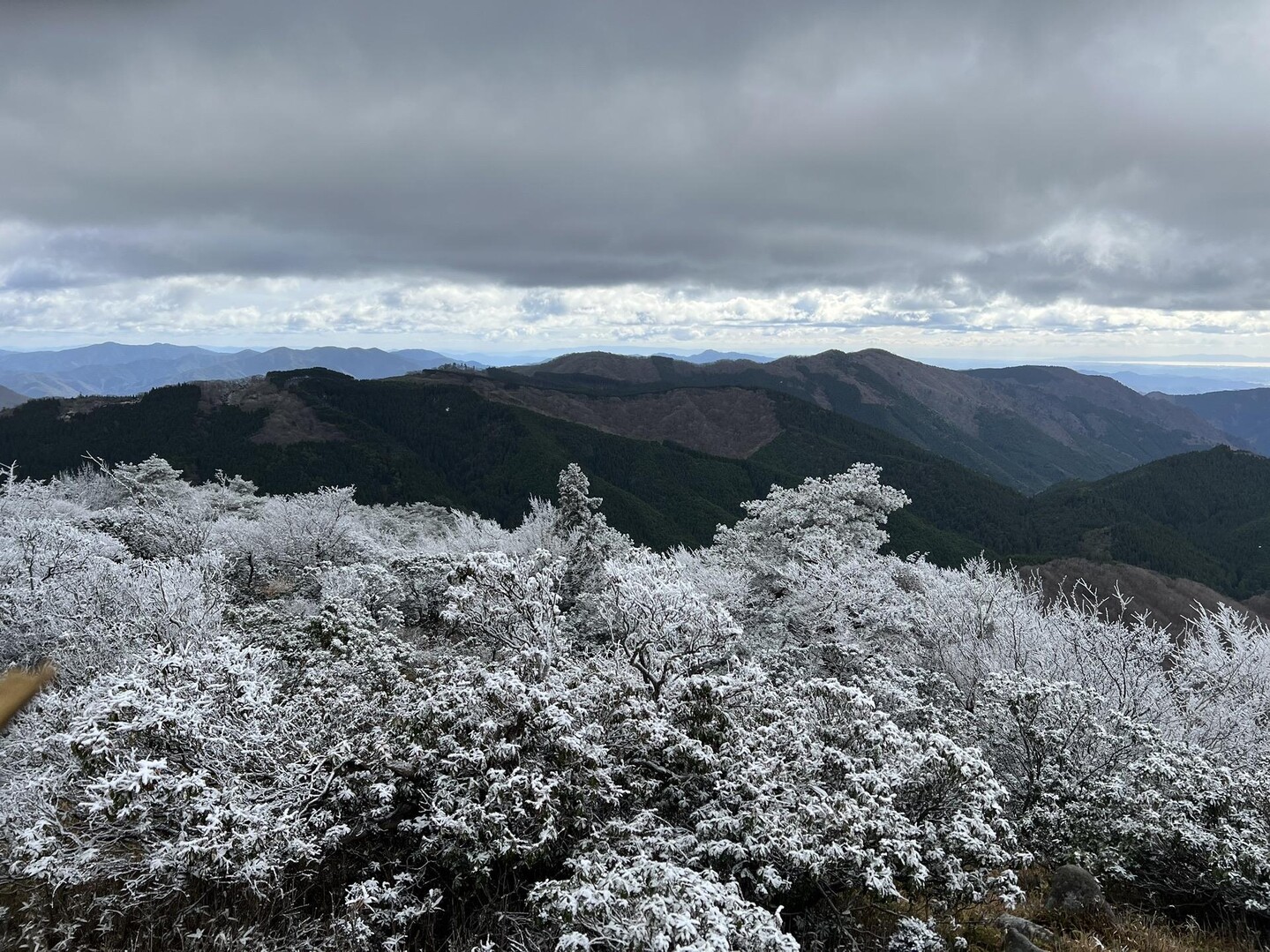 kazuさんの投稿したフィールドメモ | YAMAP / ヤマップ