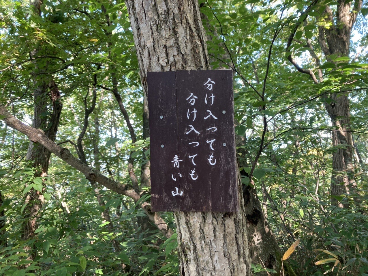 五ノ宮岳山中の自由律俳句シリーズ。 / chiyukichiさんのモーメント | YAMAP / ヤマップ