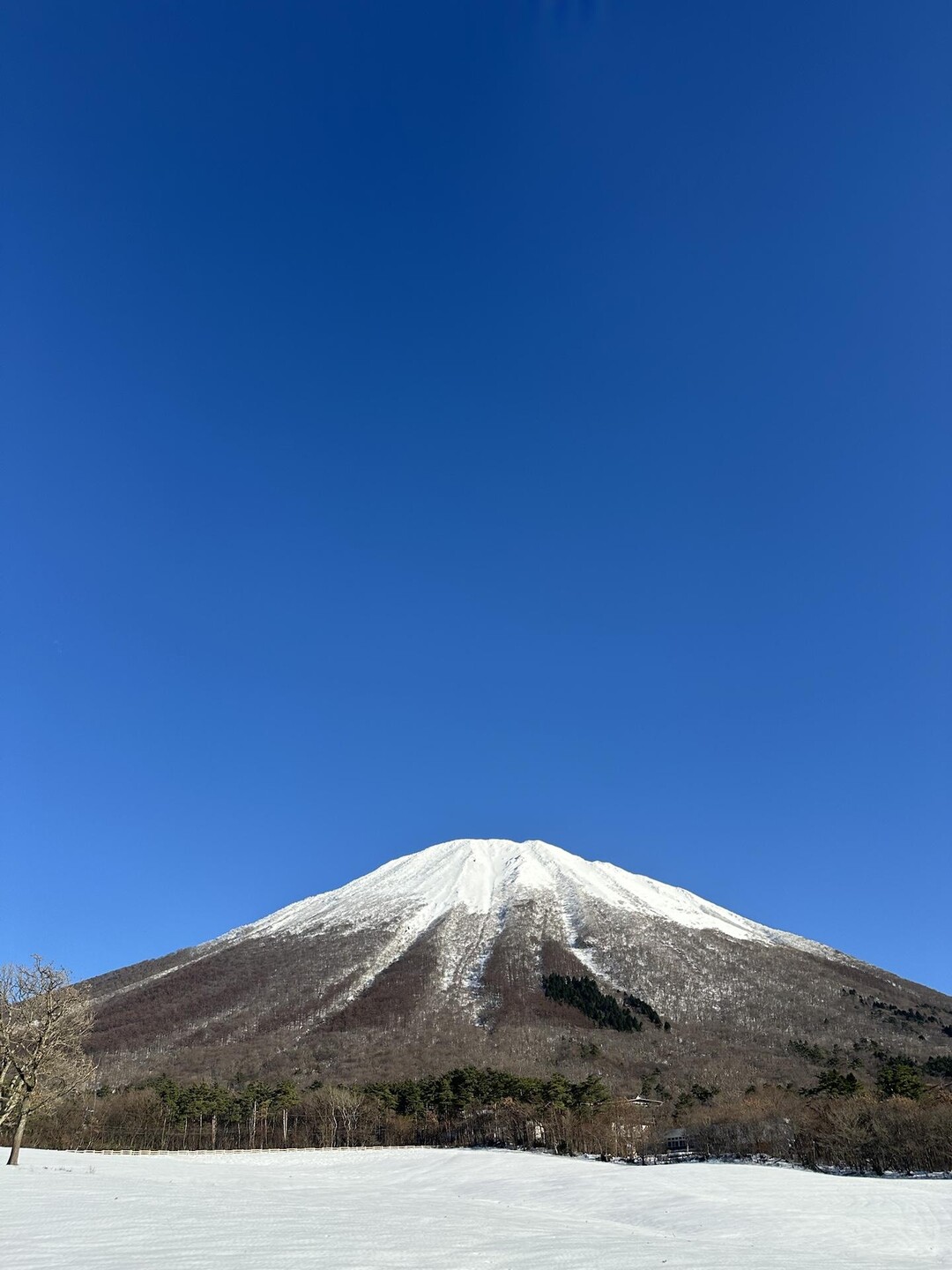 初登り大山 / asobimanさんの大山・甲ヶ山・野田ヶ山の活動データ | YAMAP / ヤマップ