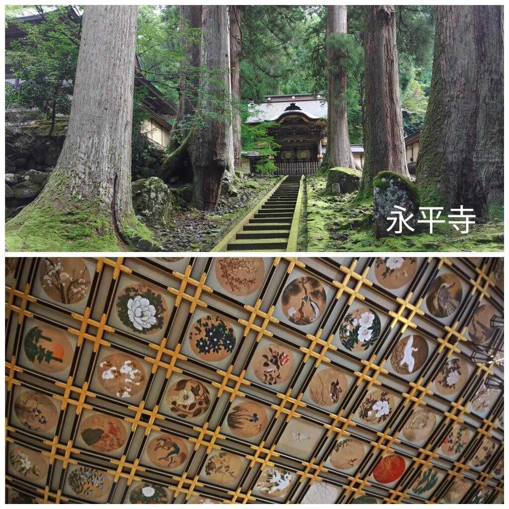 旅ログ⑩福井県 恐竜博物館のリニューアル... / micoさんのモーメント | YAMAP / ヤマップ