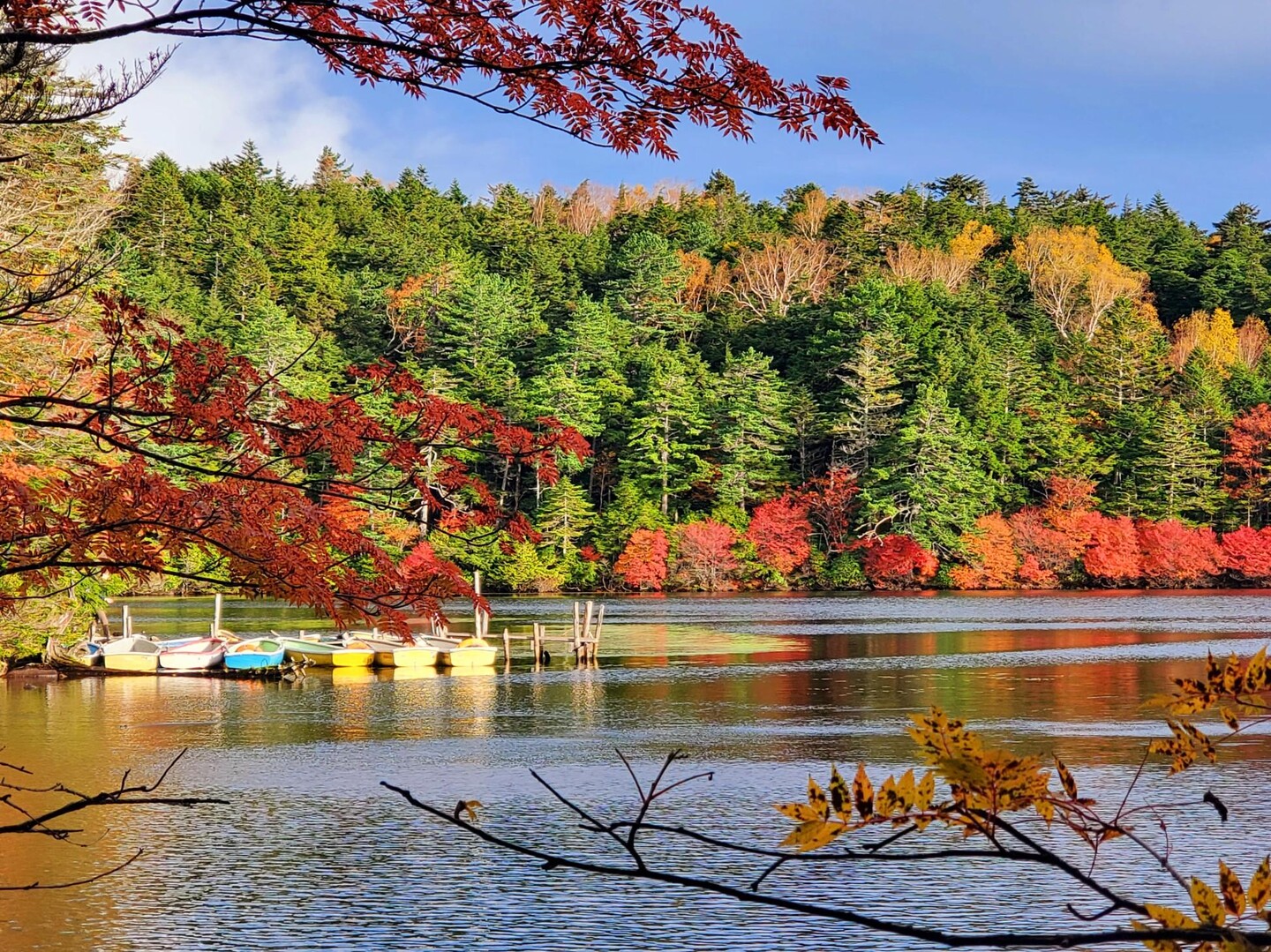 白駒池 / snowさんの八ヶ岳（赤岳・硫黄岳・天狗岳）の活動日記 | YAMAP / ヤマップ