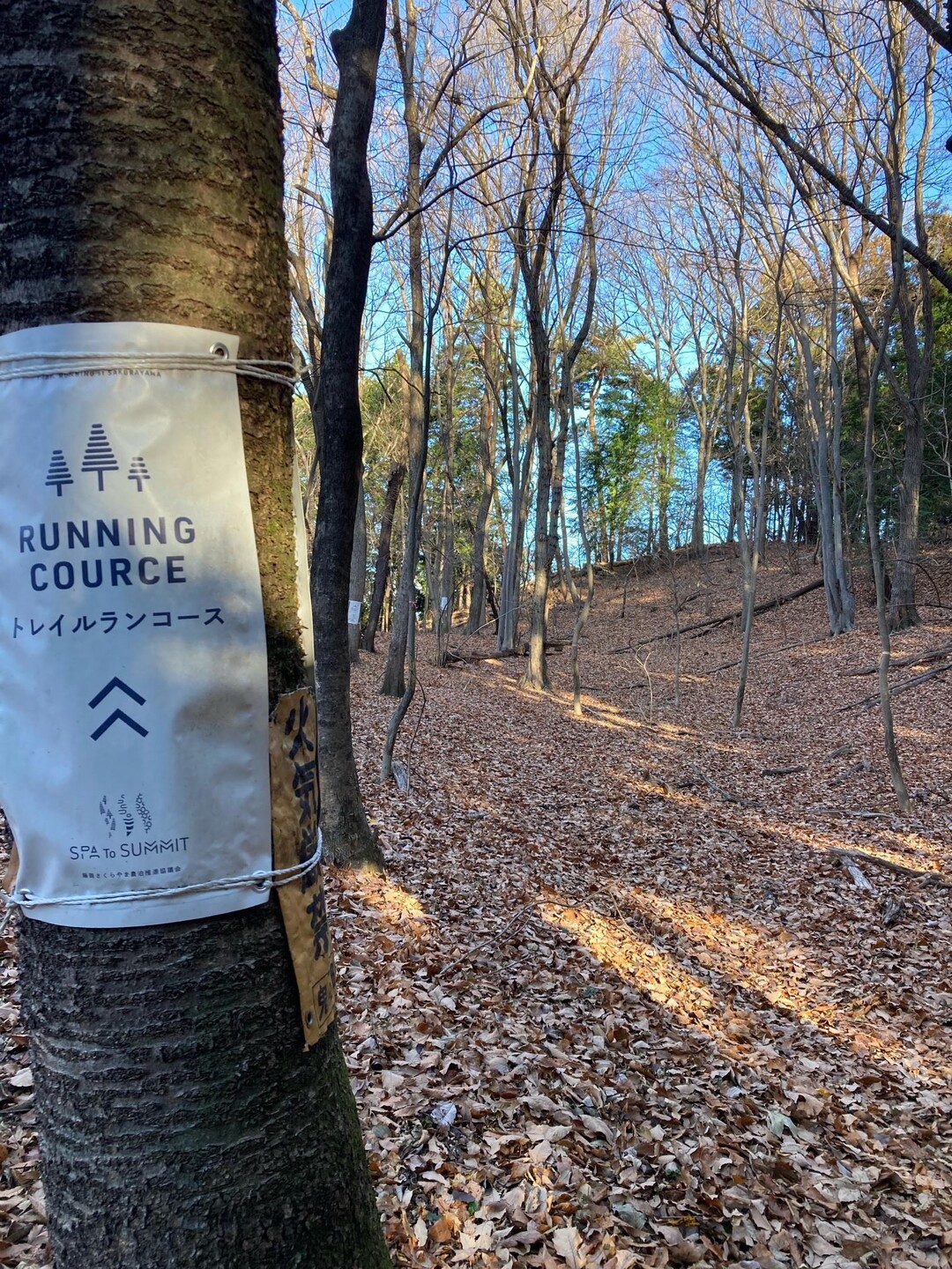 さくらやまトレイル25kmコース / つるこぉさんの御荷鉾山・オドケ山・桐ノ城山の活動データ | YAMAP / ヤマップ