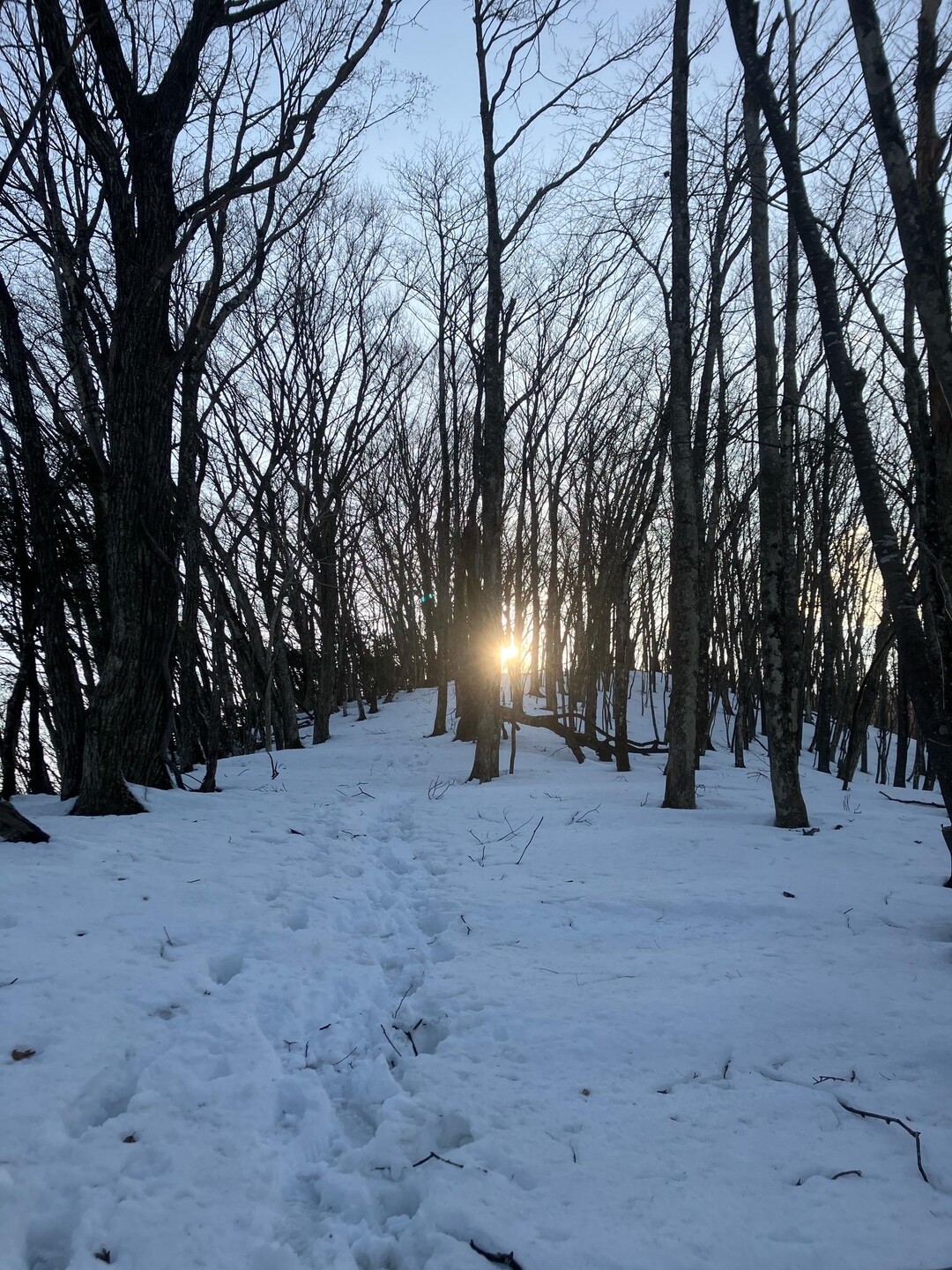 まだまだ雪山だぜ ️武甲山・小持山・大持山 / ORIBAさんの武甲山・伊豆ヶ岳・小持山の活動データ | YAMAP / ヤマップ