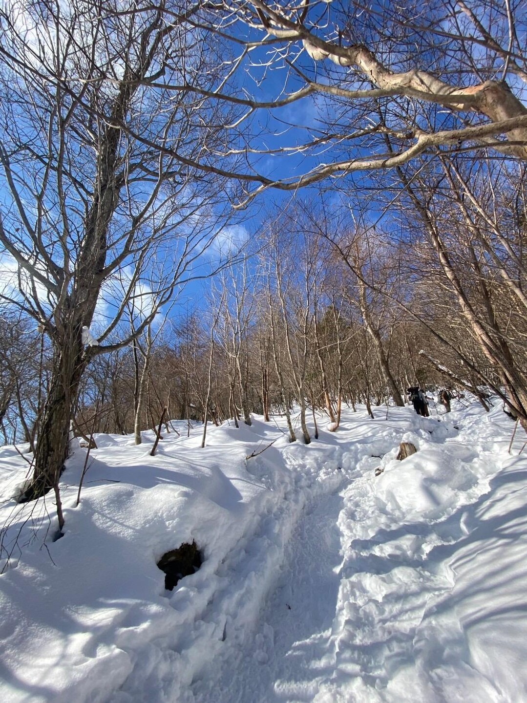 那岐山 / maoさんの那岐山・滝山・広戸仙の活動データ | YAMAP / ヤマップ