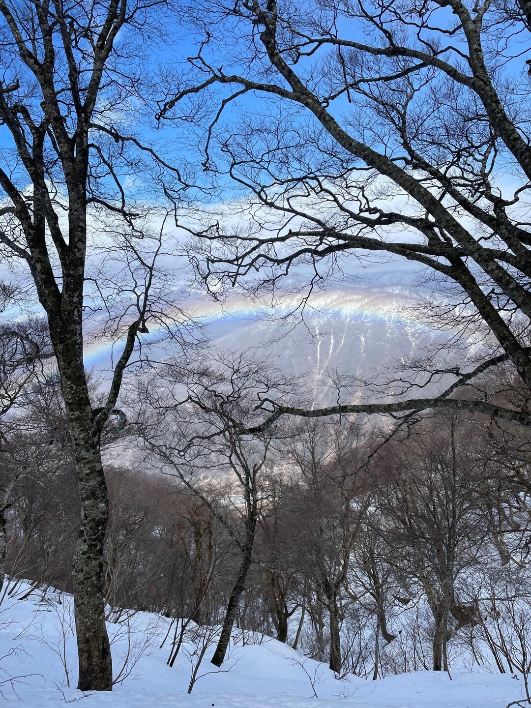 荒島岳より勝原への下山時、虹が！ 🌈は... / honensanさんのモーメント | YAMAP / ヤマップ