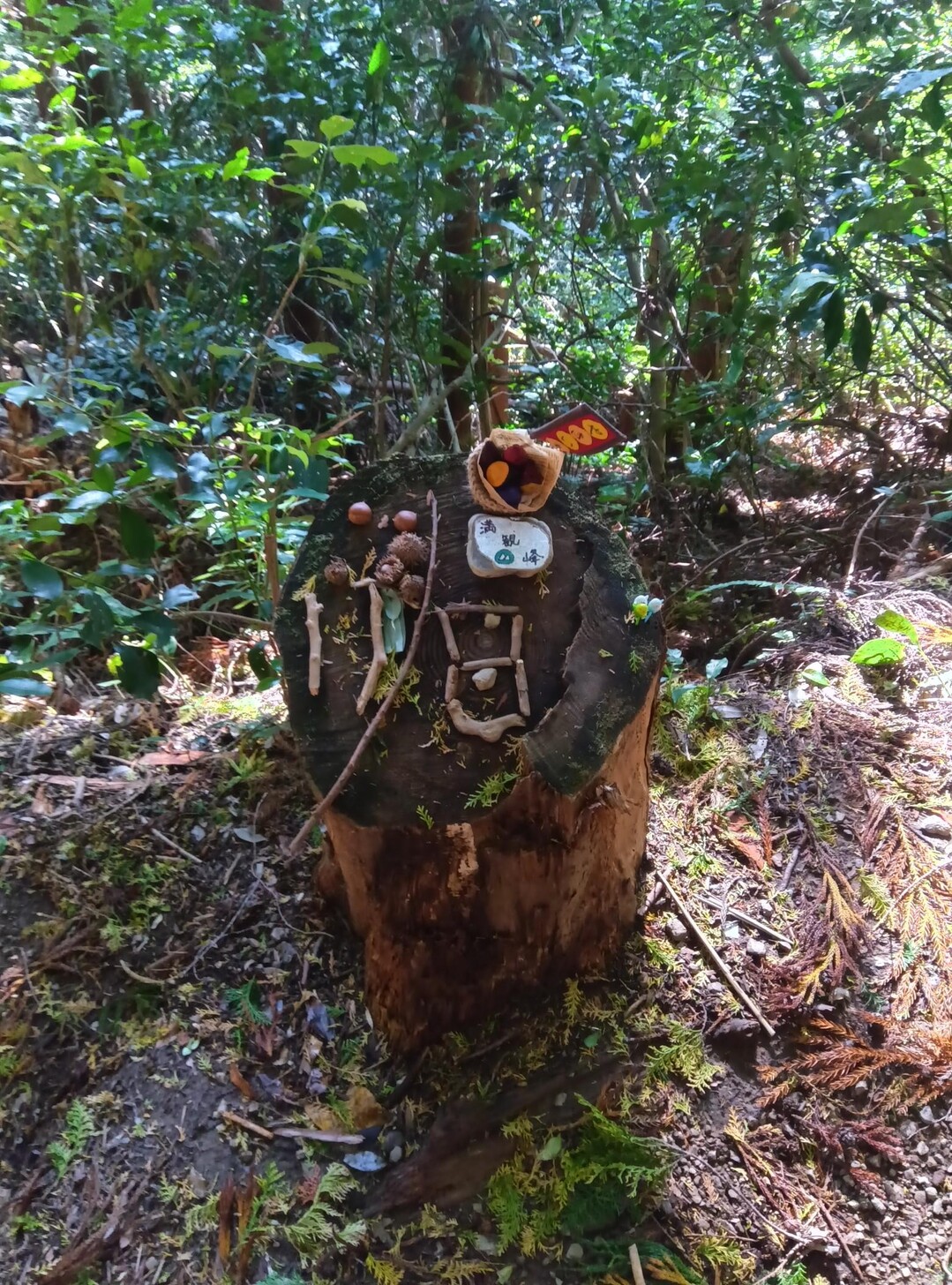 高草山(東峰)・高草山（西峰）・大ベラ山・満観峰 / sky highさんの焼津アルプス（高草山・満観峰・花沢山）・徳願寺山の活動データ | YAMAP / ヤマップ