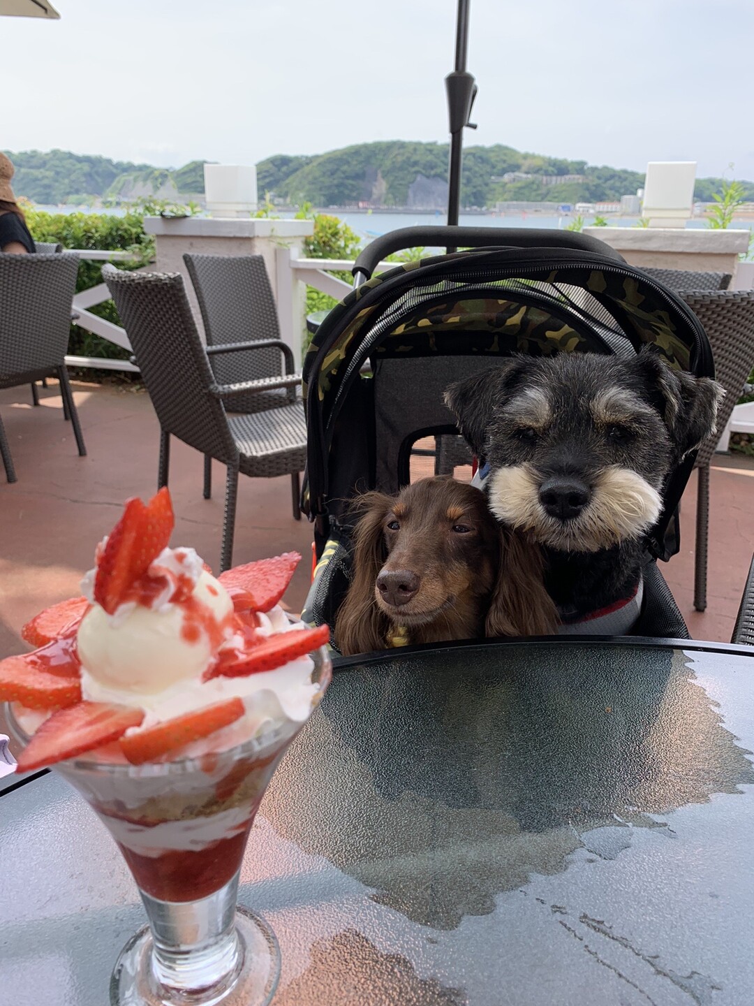 逗子にあるなぎさ橋珈琲へ🏝 テラス席は... / koronさんのモーメント | YAMAP / ヤマップ