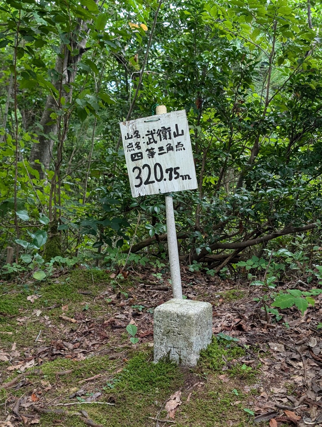 倶利古曽山・武衛山 / ryuji_taketan18さんの日野山の活動データ | YAMAP / ヤマップ