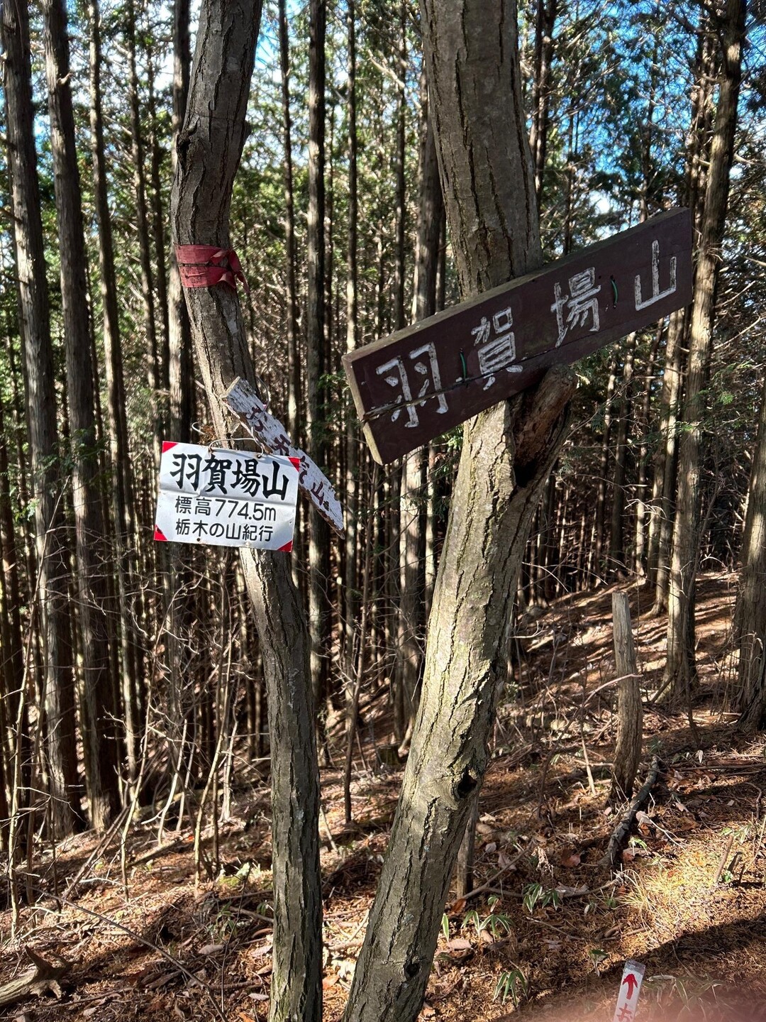 yuu39さんの投稿したフィールドメモ | YAMAP / ヤマップ