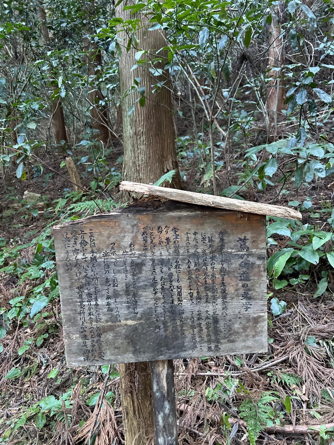 ken-endoさんの投稿したフィールドメモ | YAMAP / ヤマップ