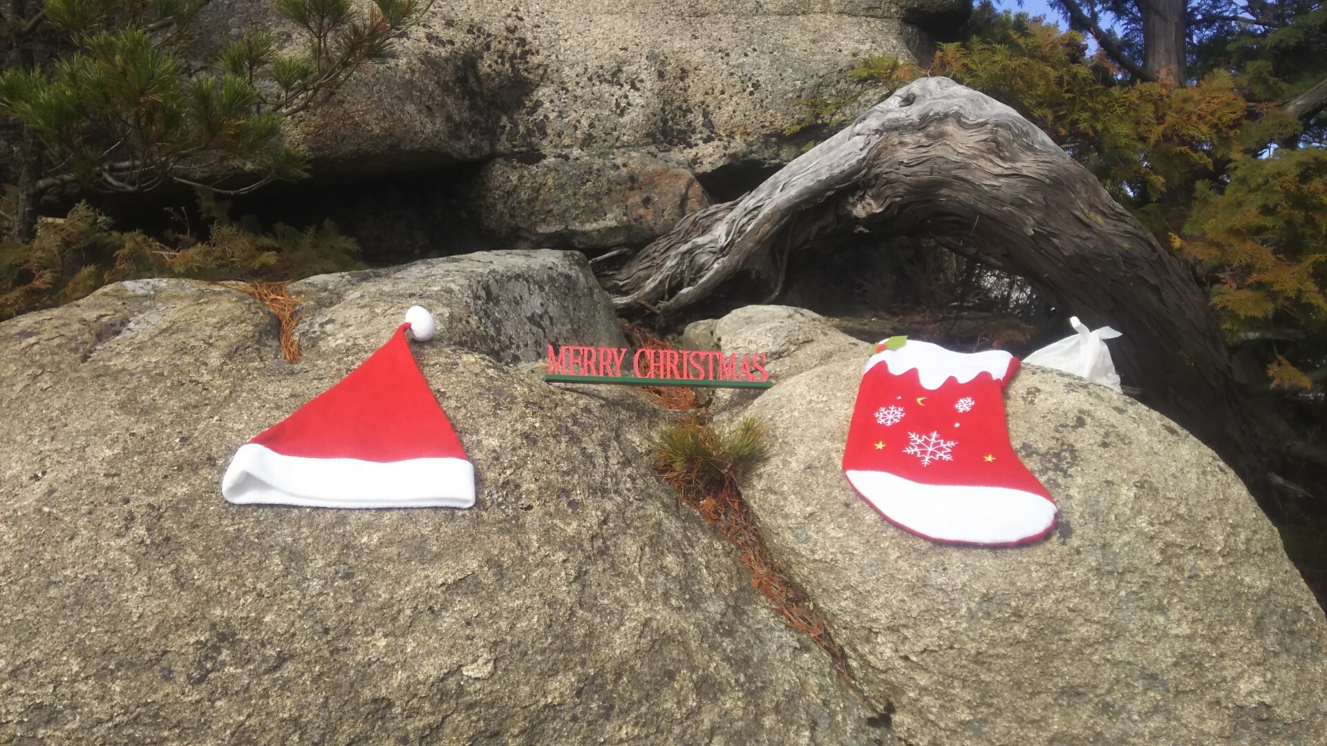 2018年最後&X'mas登山 三倉岳 / ヒロさんの三倉岳・瓦小屋山の活動日記 | YAMAP / ヤマップ