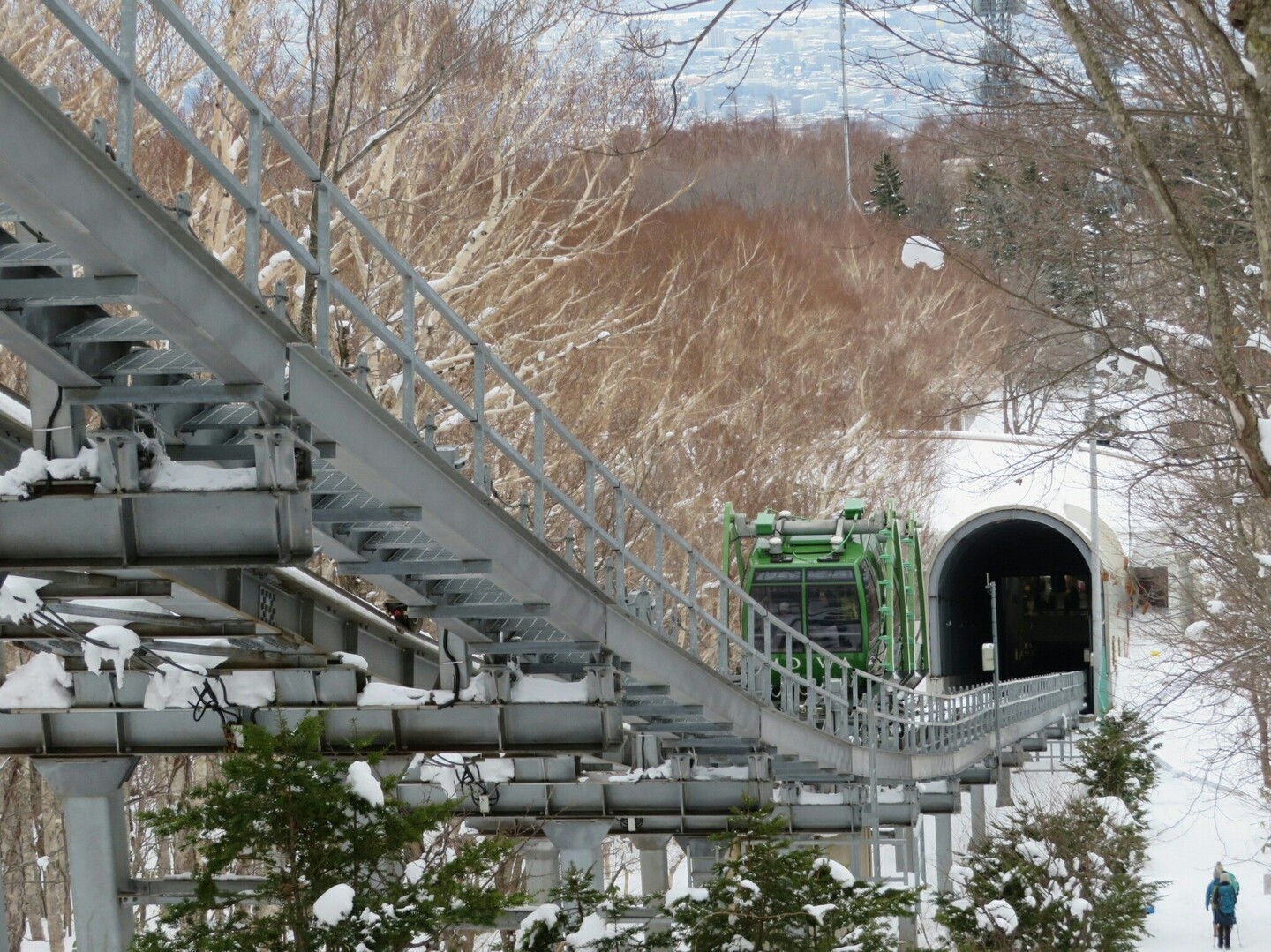 藻岩山とふくろうを探そう‼ / Chicoryさんの藻岩山の活動データ | YAMAP / ヤマップ