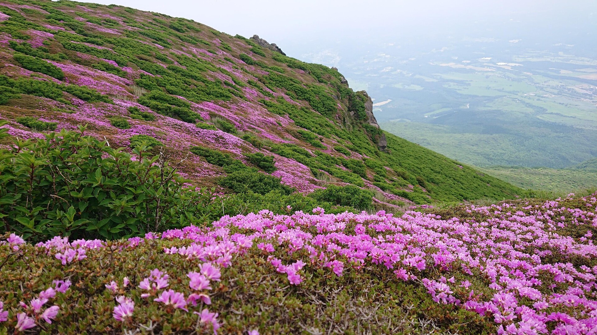 久住山ピストン / 2543mさんの九重山（久住山）・大船山・星生山の活動データ | YAMAP / ヤマップ