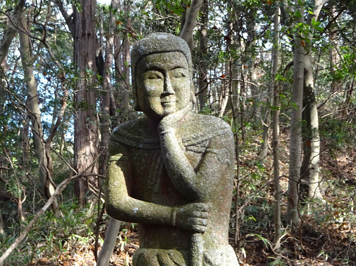 静かな太神山 / harejiさんの湖南アルプス（太神山・堂山）の活動データ | YAMAP / ヤマップ