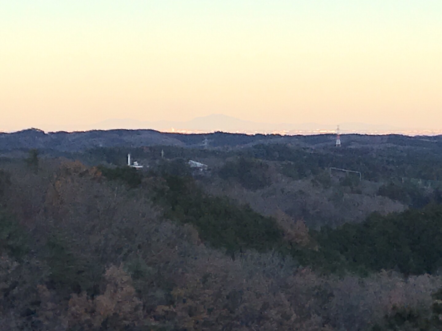 高水山〜青梅丘陵 / Y-kobaさんの大岳山・御岳山・御前山の活動データ | YAMAP / ヤマップ